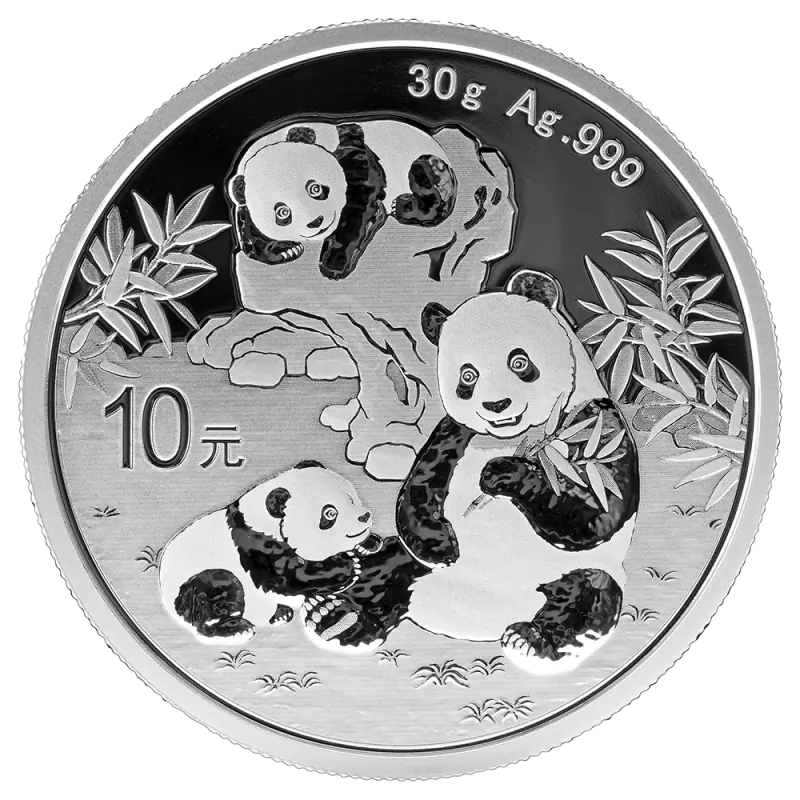 30 gr Panda Cinese | Argento | 2025 | StoneX Bullion
